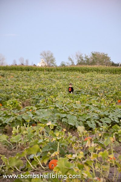 Fall Family Farm Fun